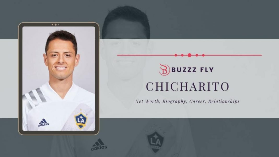 Chicharito Net Worth in 2024, Real Name, Relationships, Age, Height ...