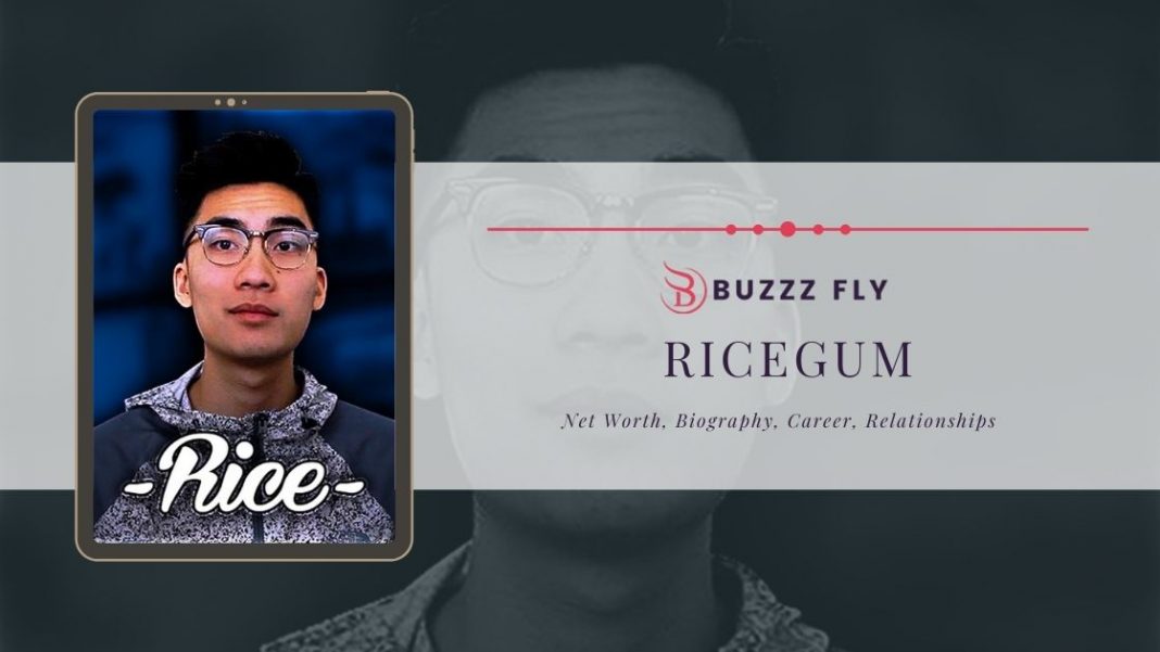 Ricegum Net Worth in 2024, Real Name, Girlfriend, Career, Height ...